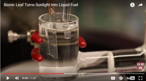 Bionic leaf - Fuel Freedom Foundation