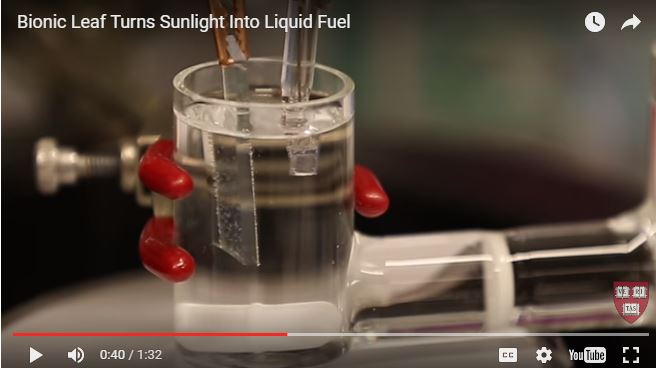 Bionic leaf - Fuel Freedom Foundation